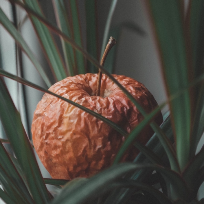 Dine bildæk bliver også for gamle - husk at skifte dem